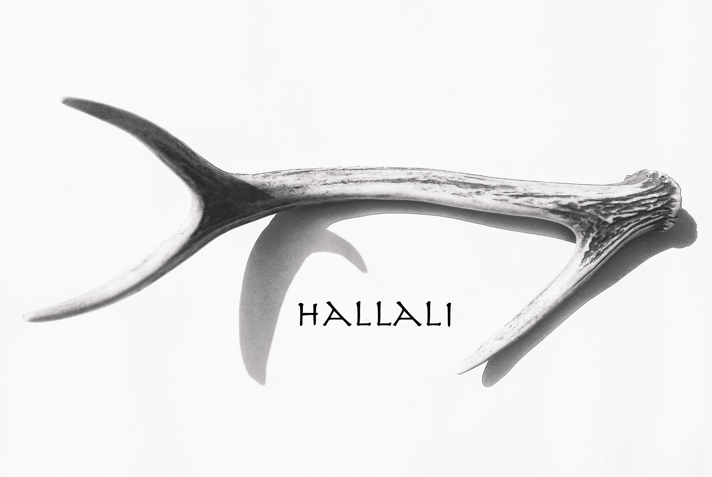 Hallali – Cirque Jules Verne